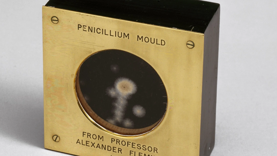 12 accidental inventions that changed everyday life
