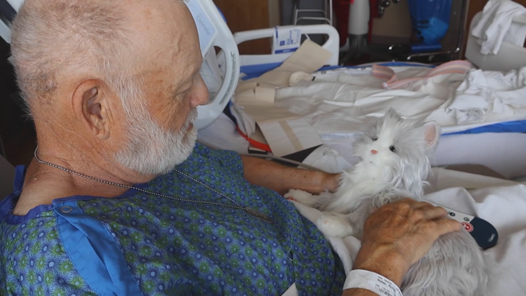 Robotic pet program brings joy to dementia patients at UCHealth ...