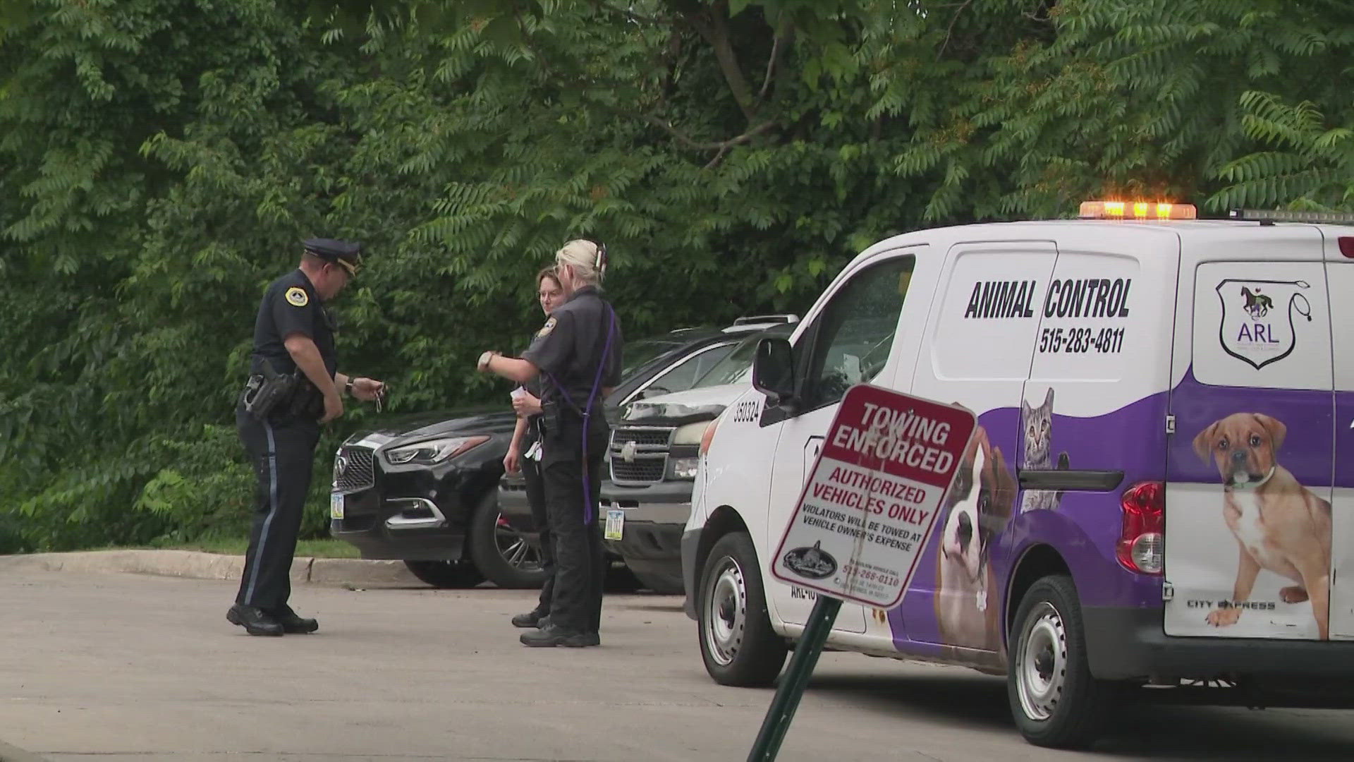 Des Moines woman recovering after Friday dog attack