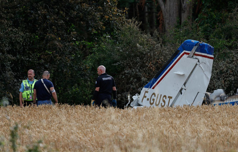 Ubisoft co-founder Claude Guillemot dies in plane crash