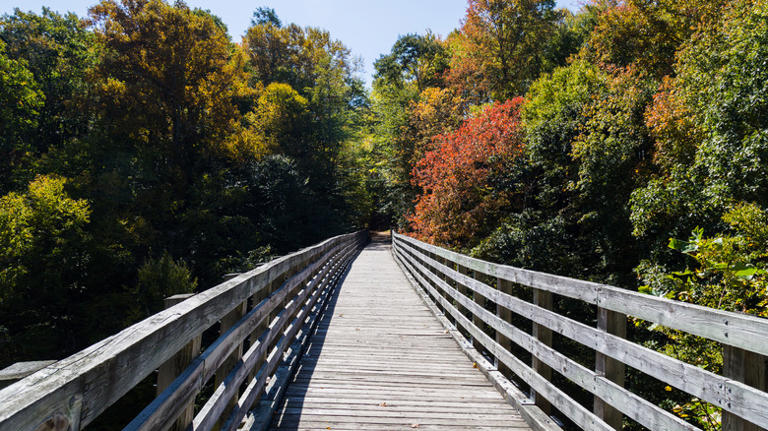 Bike through a tunnel of fall color on this historic Virginia rail trail