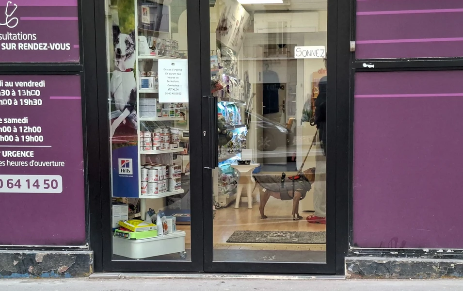 Experts outline subtle signs anxious pets trust their vets