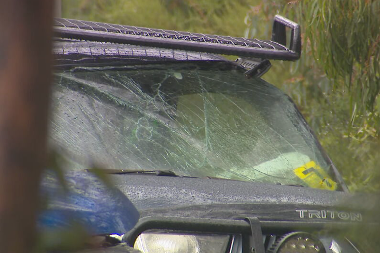 Beautiful teen killed on way home from Socceroos match