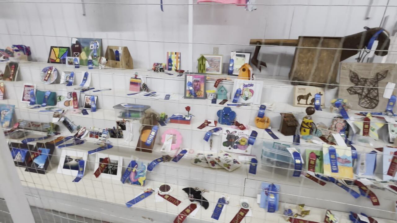 Neshoba County Fair sees massive flea market turnout despite rainy ...