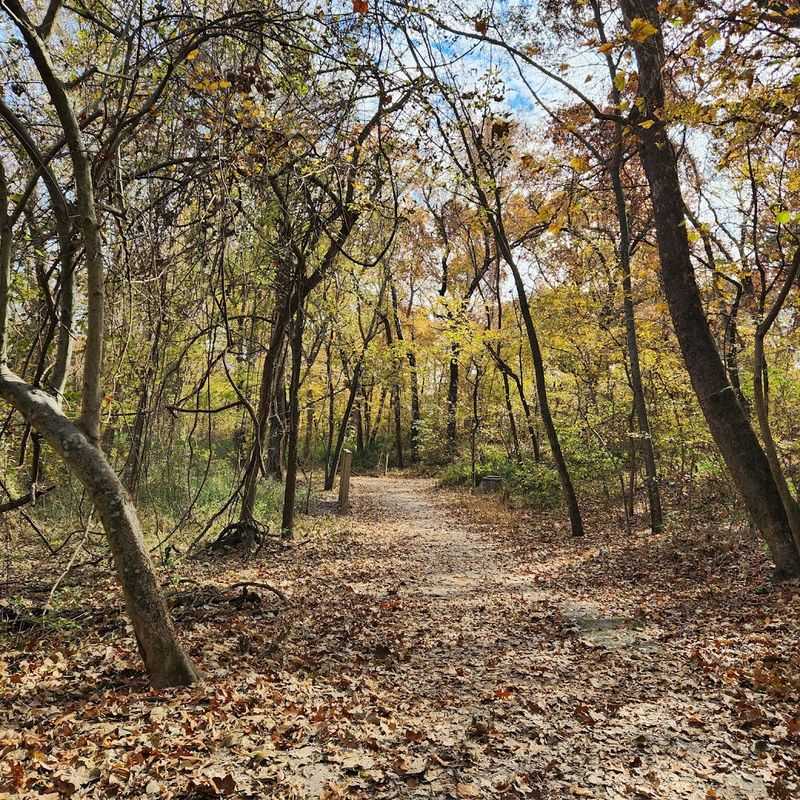 This 40-acre woodland oasis in Oklahoma hides a 115-year-old spring and ...
