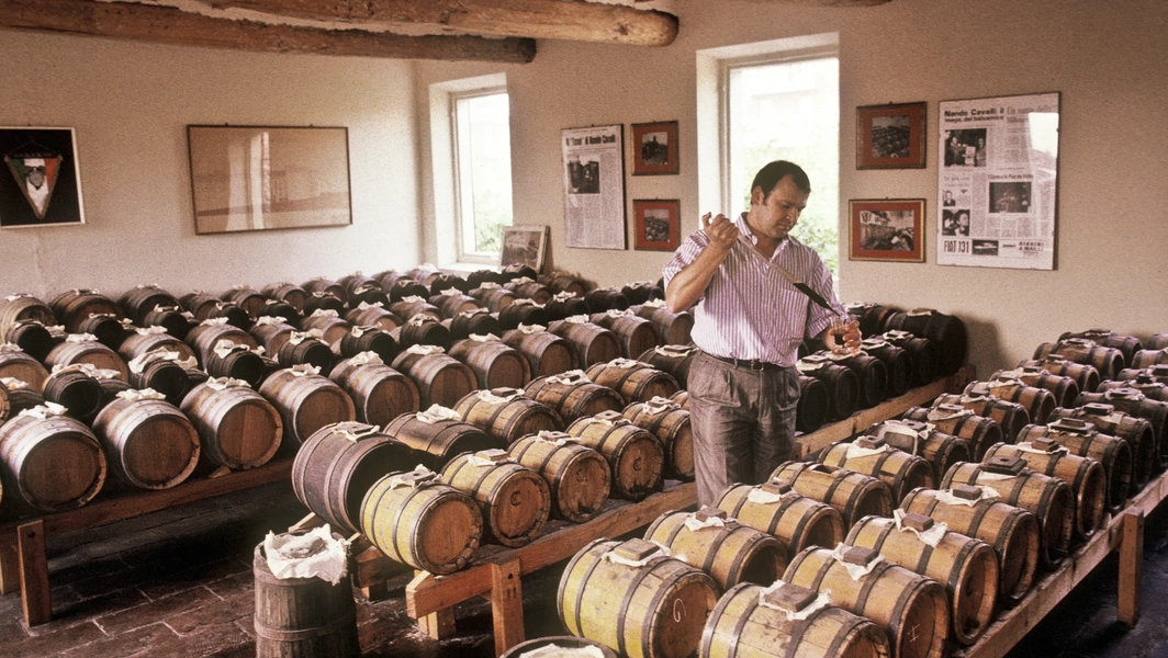 Balsamic vinegar’s history, craft, and culinary uses