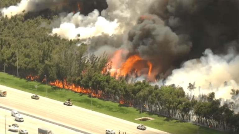 Krome Avenue and Florida's Turnpike reopen as brush fires continue to burn