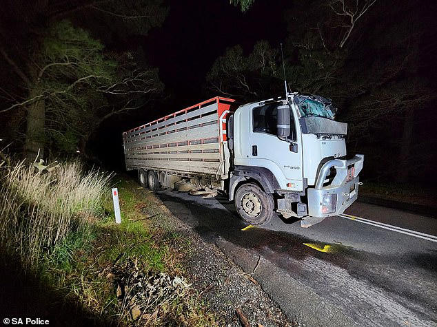 AFL great Tony Modra wakes up after catastrophic truck smash as wife ...