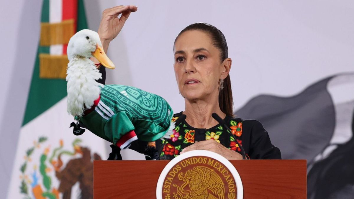 Claudia Sheinbaum invita al Pato Merlín a la Mañanera tras volverse ...