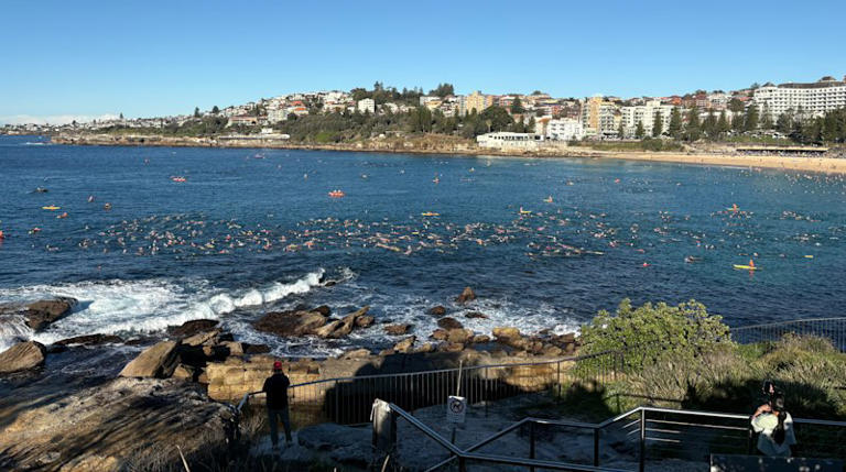 Hundreds gather for ocean swim after shark attack