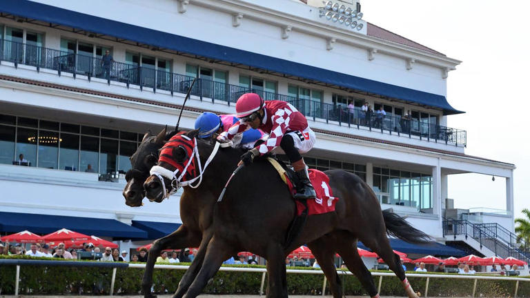 'A lot of determination': Winplaceandshow wins battle for Azalea in ...