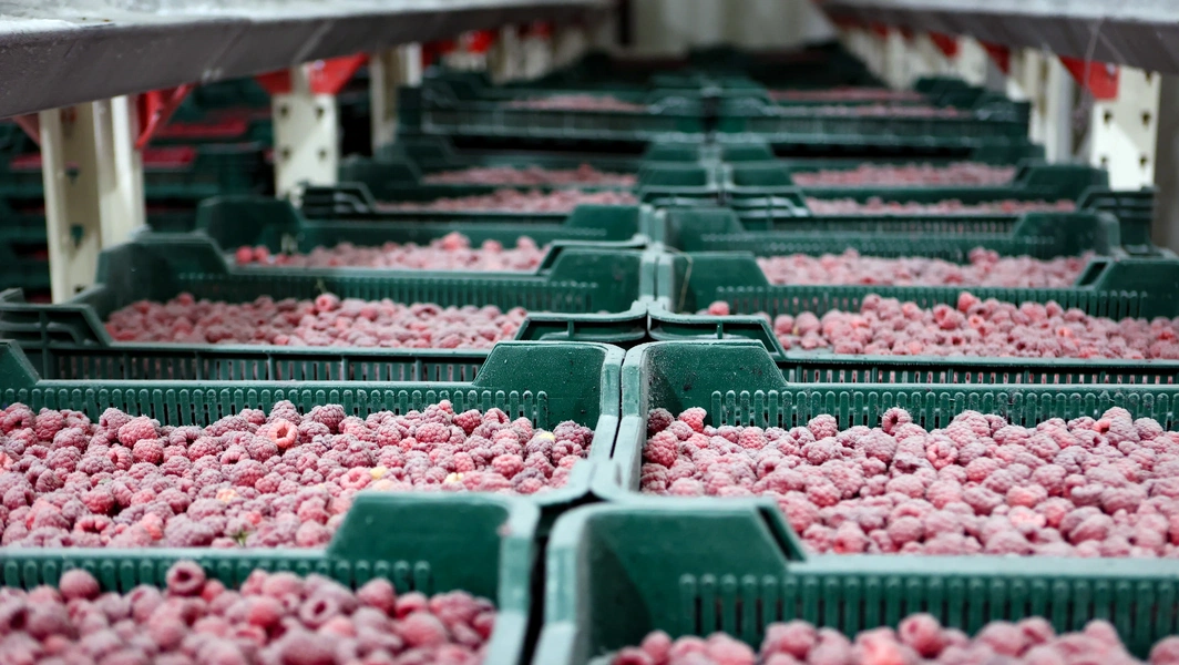 Frozen fruit myths finally debunked