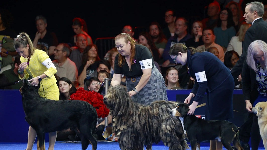 15 rare and remarkable dog breeds