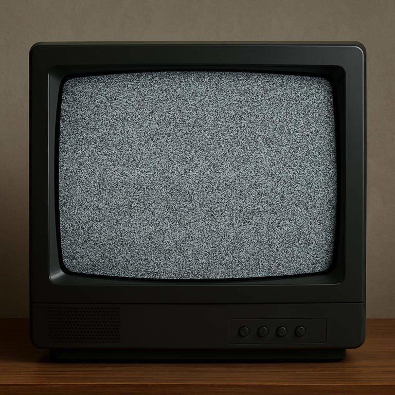 Broadcast live all proceedings of assembly, MNM tells TVK govt