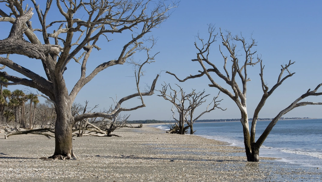 Exploring coastal South Carolina's natural and cultural treasures