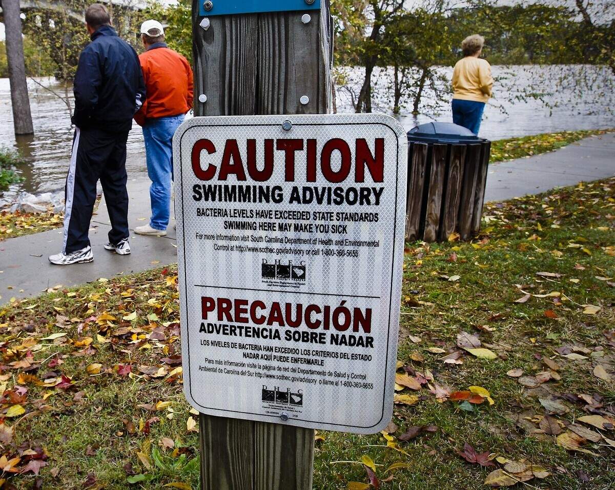 Disease-carrying germs soar at beaches, popular swimming holes after ...