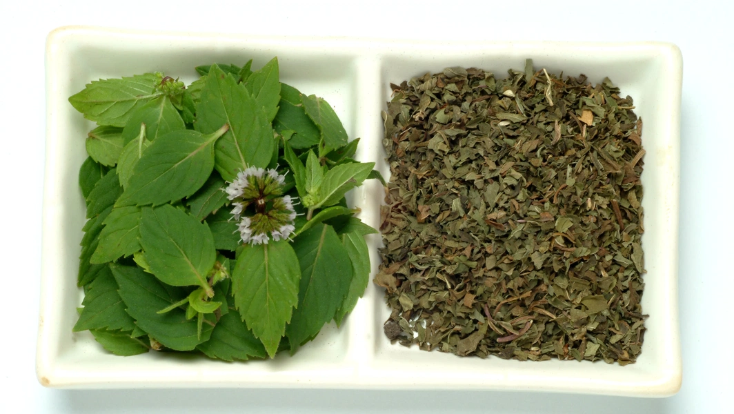 Spiritual, practical, and feng shui uses of peppermint
