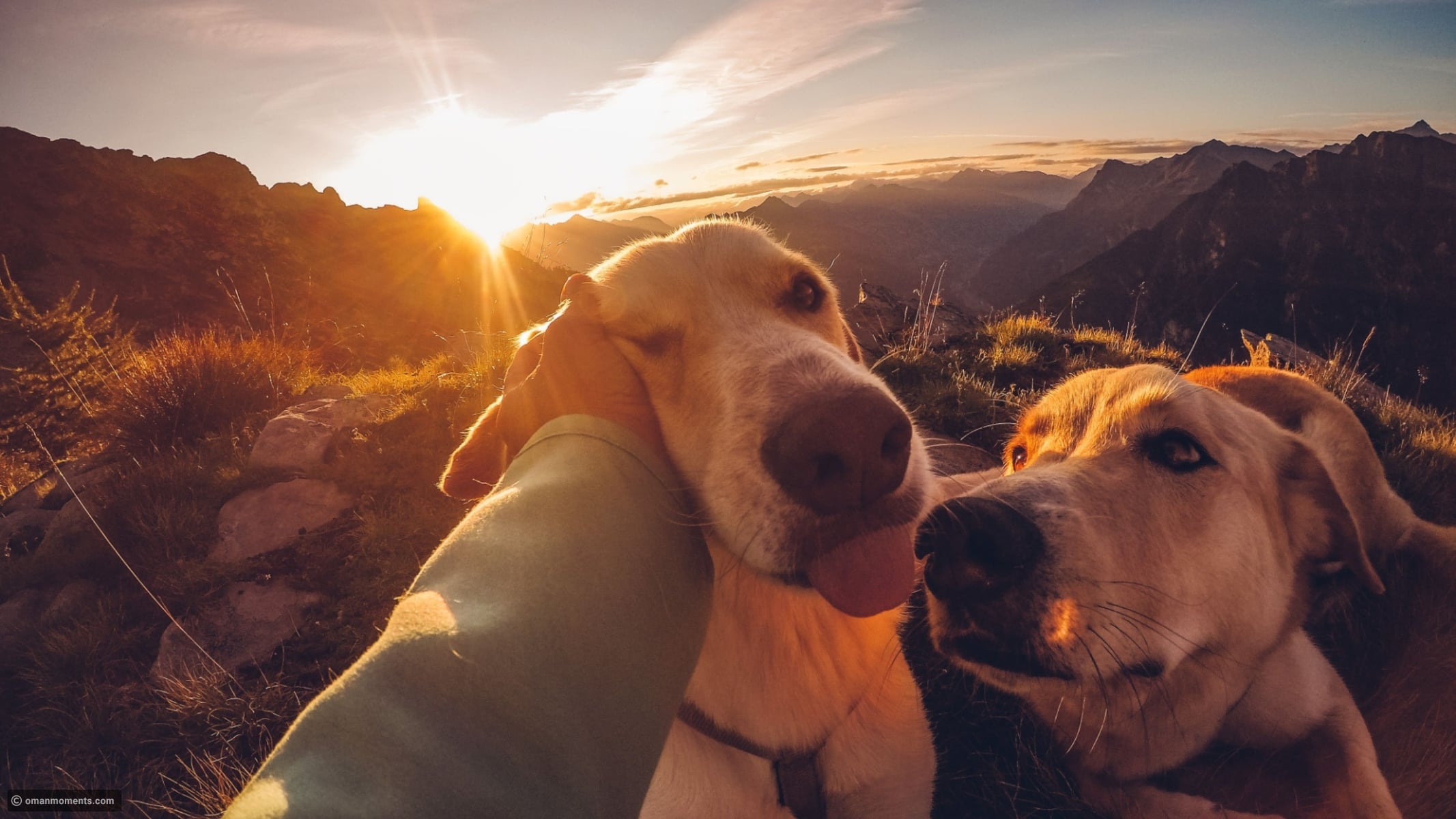 8 simple words that mean the world to your dog