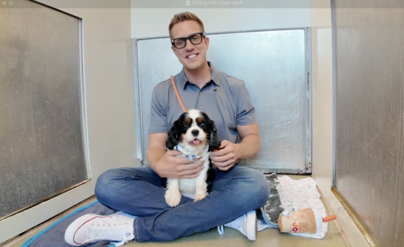 33 Cavaliers were found in a U-Haul with no air. One dog’s condition ...