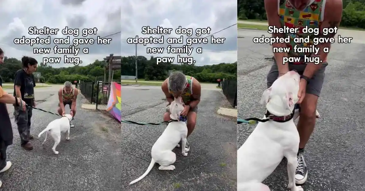 Shelter dog's unexpected gesture to family after adoption is tear-jerking