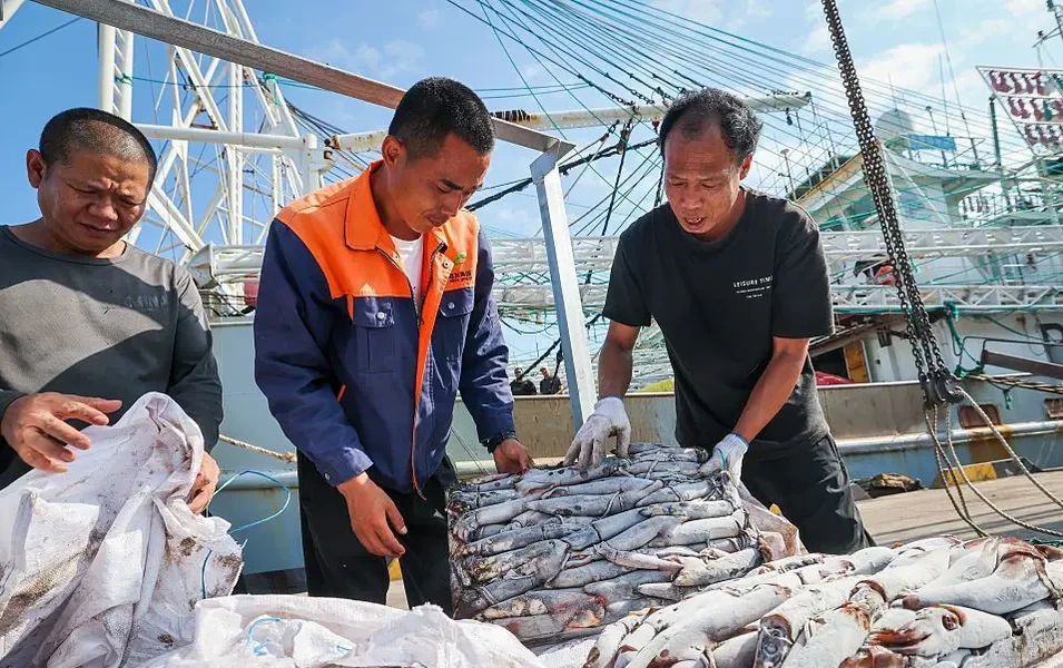 FAO warns global fisheries sustainability continues to decline