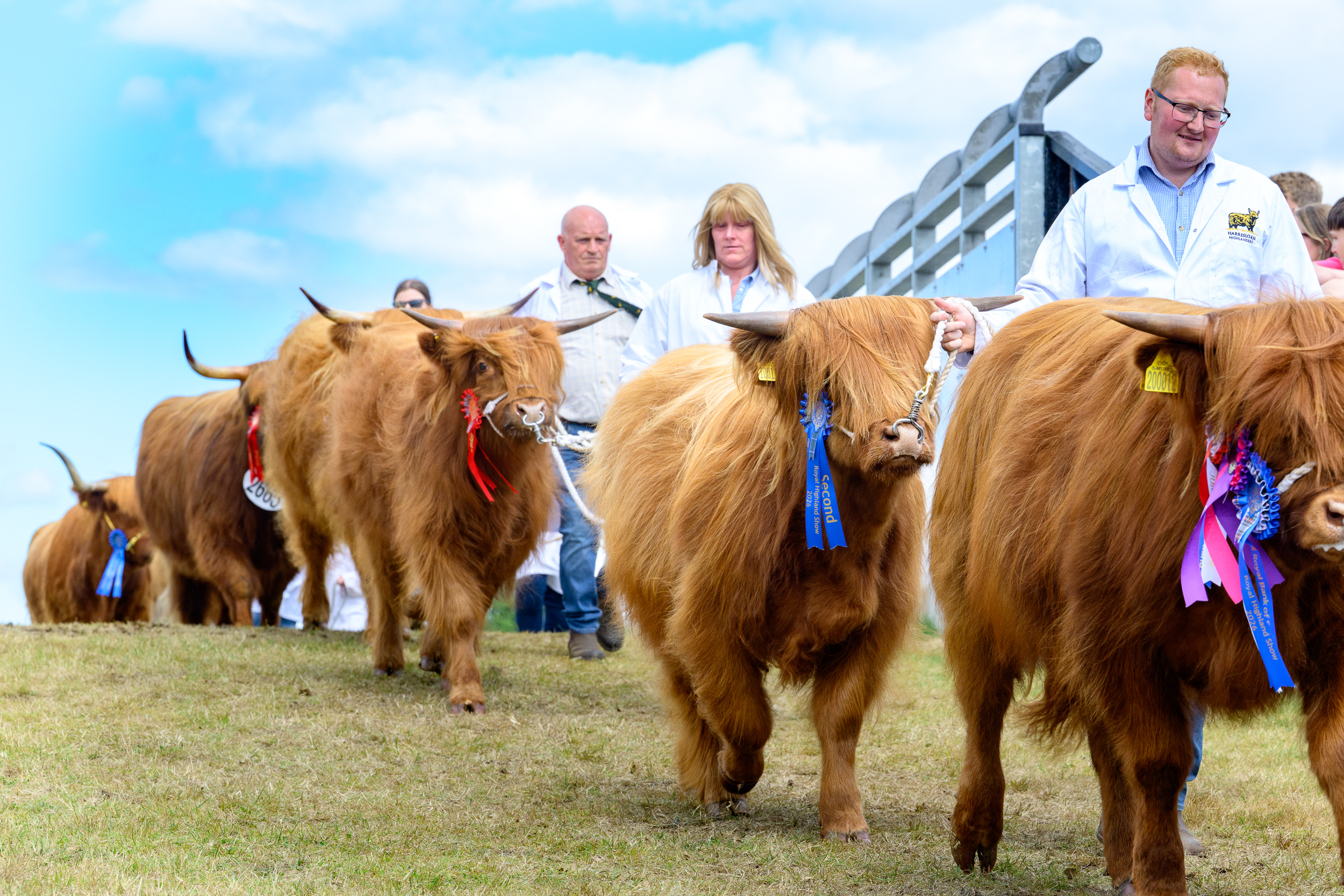 Royal Highland Show attracts 55,000 visitors as sun beats down