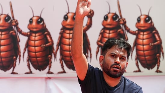 After the slogans fade, what future awaits the Cockroach Janta Party?