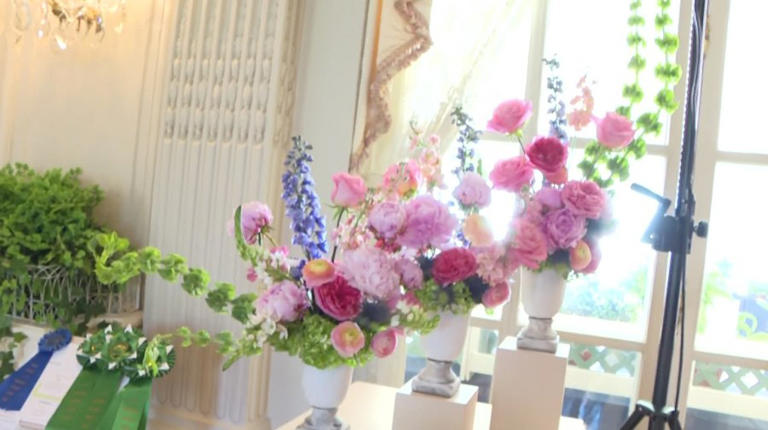 What’s happening: Newport Flower Show