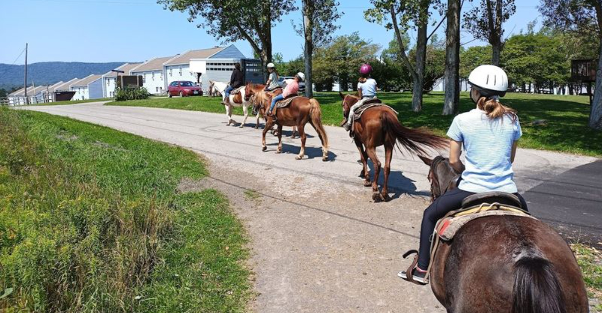 This West Virginia horseback adventure delivers views you’ll never forget