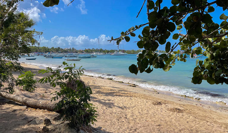 Holiday Island hotel blaze kills one and injures dozens as tourists ...