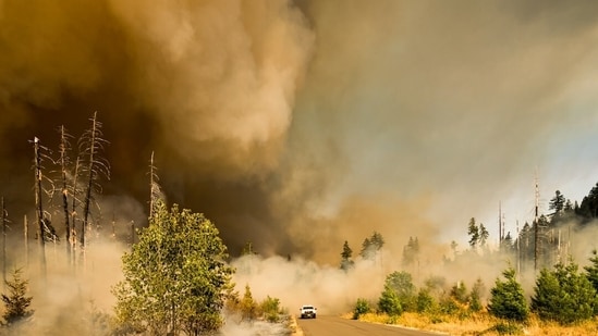 Utah Iron Fire map, evacuation updates: Blaze near Eureka scorches ...