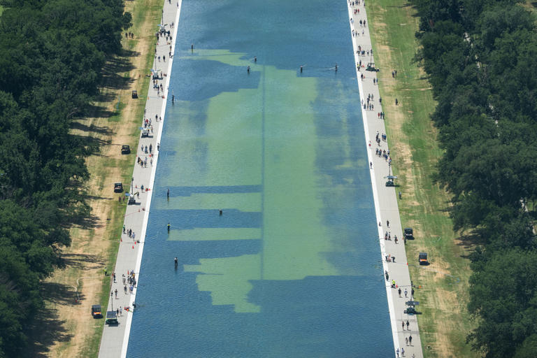 Kaitlan Collins corners Scott Jennings on slimy reflecting pool defense