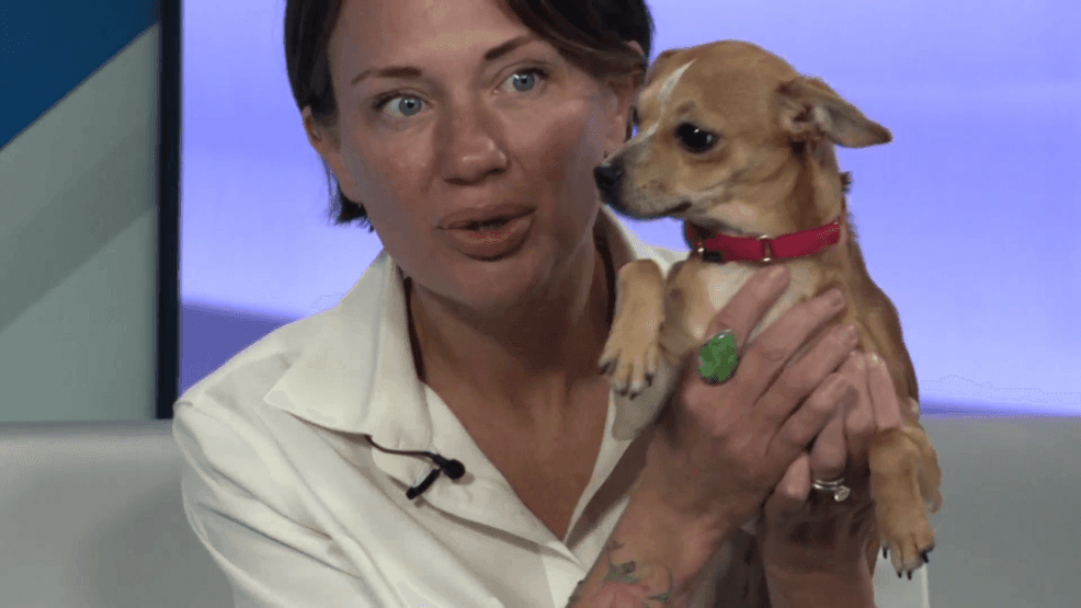 Adopt today: Meet Willow