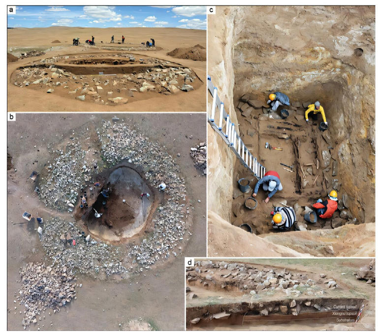 Ancient Mongolian cemetery reveals power and status mattered more than ...