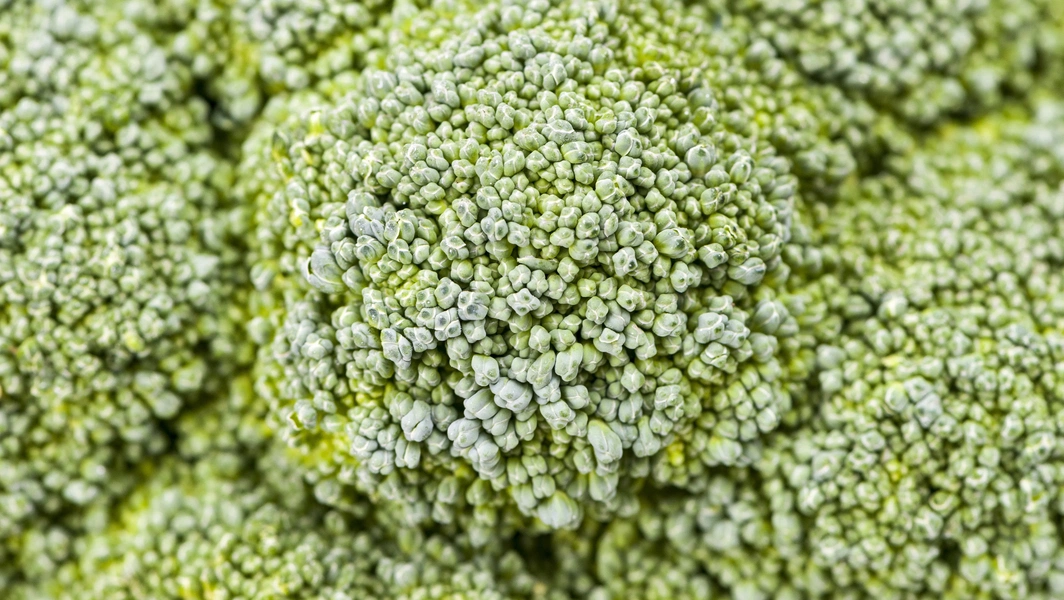 Broccoli recipes that actually excite your taste buds