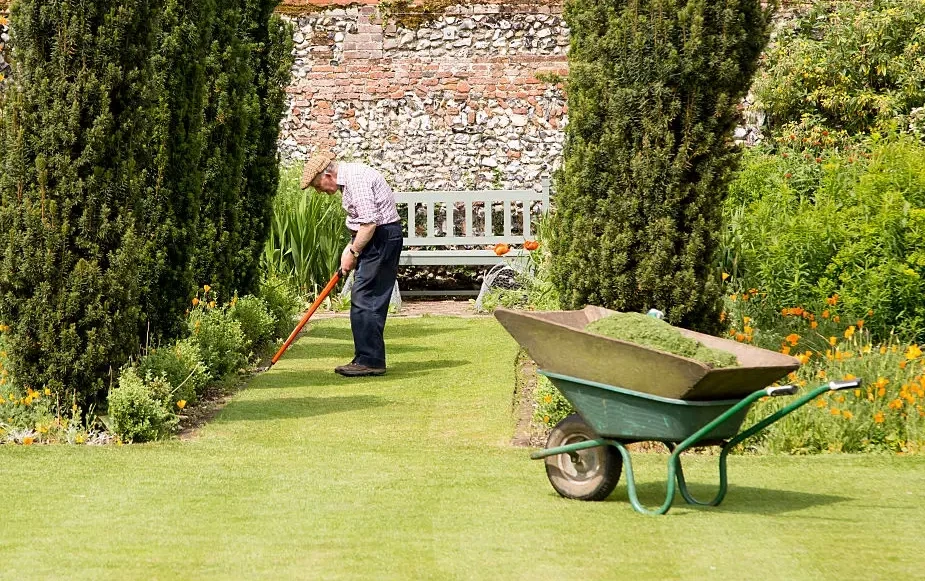 Turn your lawn from patchy to perfect this summer