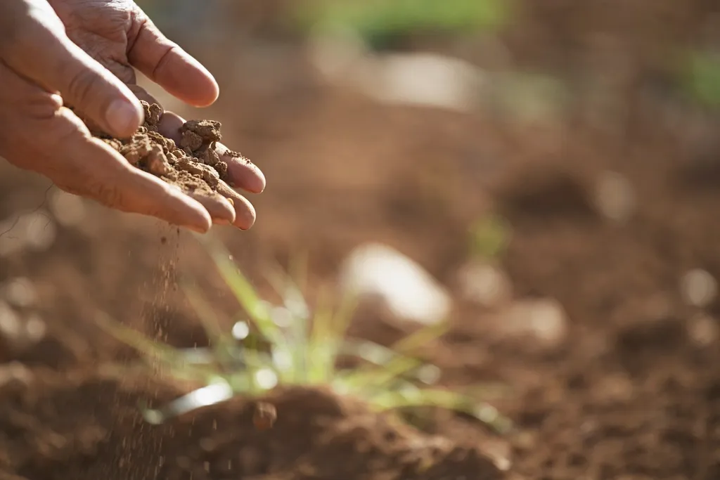 The secret pruning method only seasoned gardeners know