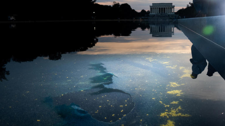 Reflecting Pool liner cut with sharp knife or razor, National Park ...