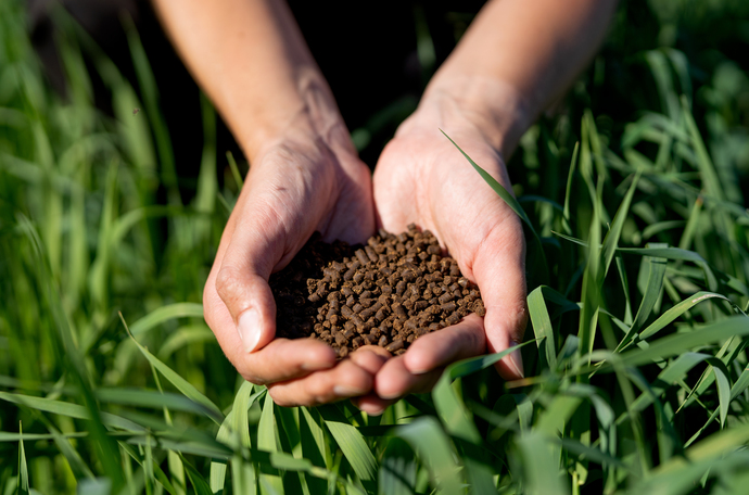 Global fertilizer trade hits $81 bn as energy volatility, Strait of ...