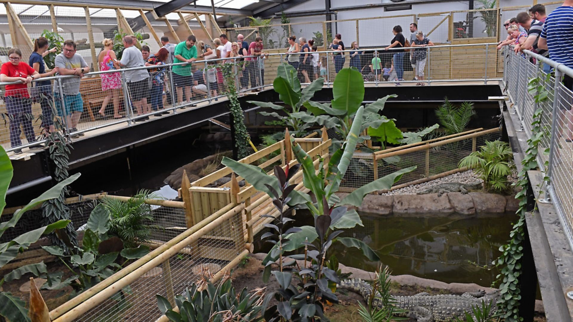 Hospital staff accessed records 40 times of boy thrown into crocodile pit