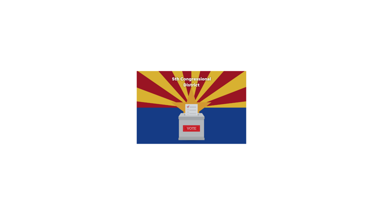 Arizona 5th Congressional District candidates: Where they stand on issues