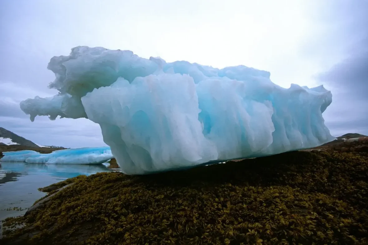 Giant viruses discovered on Greenland ice sheet may slow glacial melting