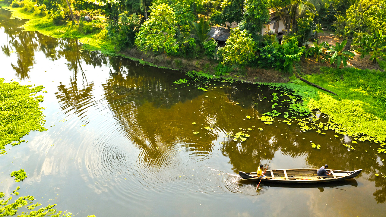 A canoe journey through Kerala’s green backwaters
