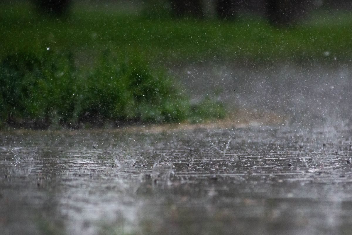 Western Cape braces for heavy rain as cold front set to hit on Sunday