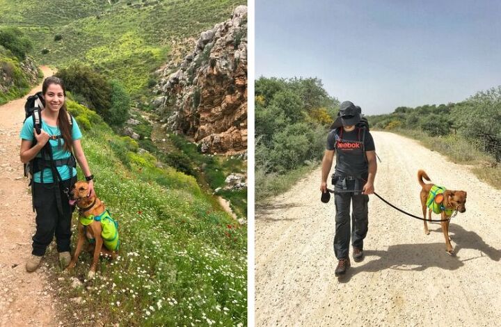 8 essential tips for a safe, unforgettable dog hike