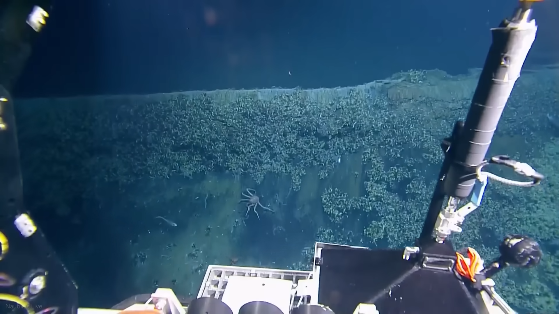 A submersible found waves in the deep sea - then the bodies appeared