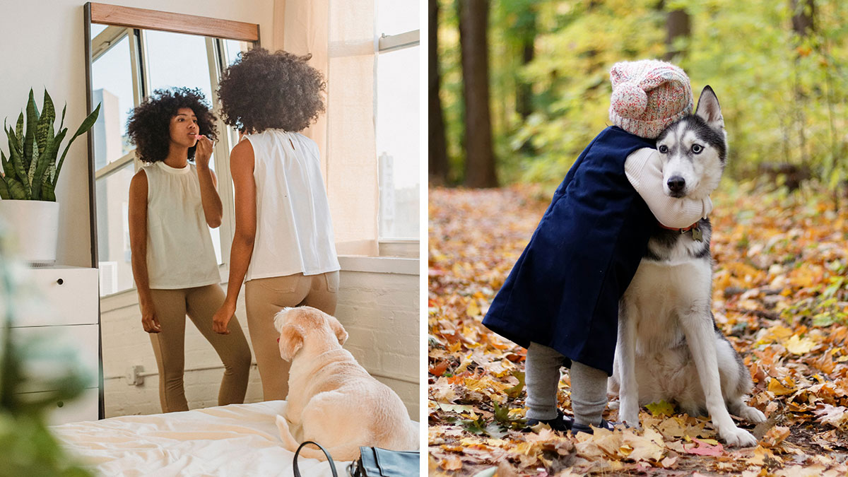 18 human habits that confuse dogs the most