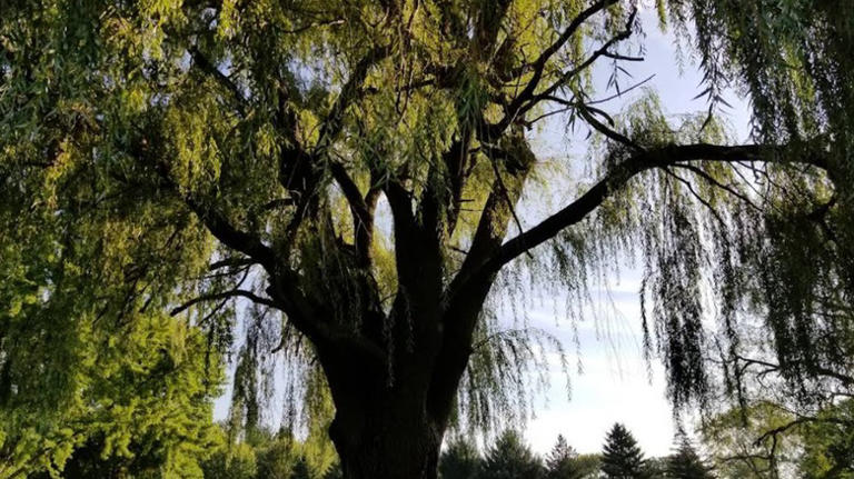 Madison's fast-growing suburb is a lively village with outdoor ...