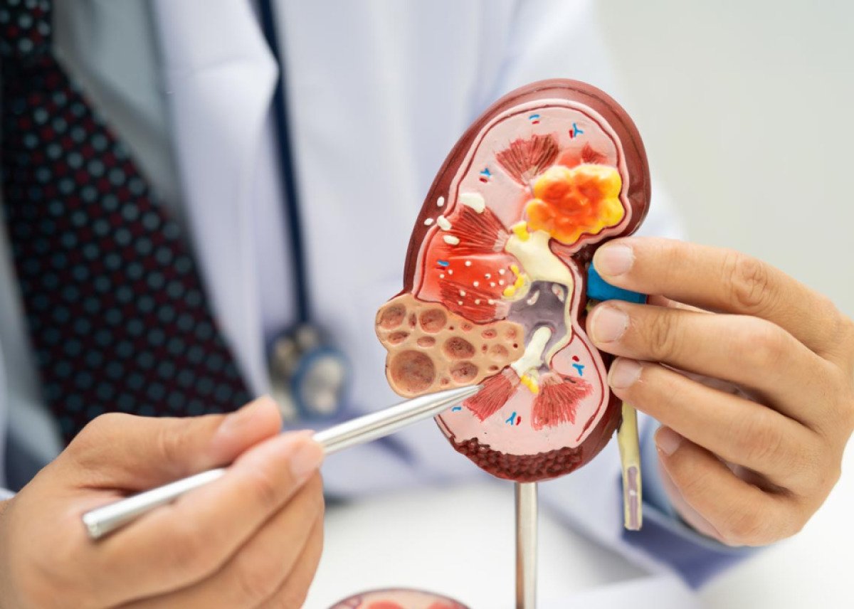 25 facts about your body you probably never learned in school