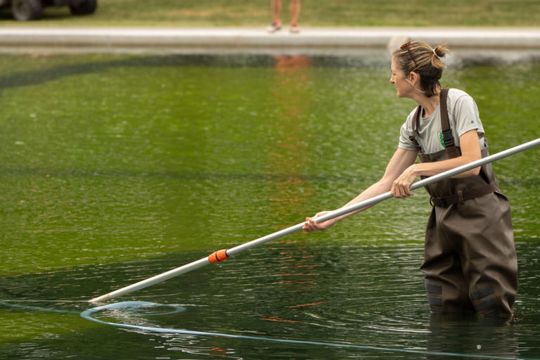 Ex-contractor for Reflecting Pool fixes: Deadline, color 'unfeasible'